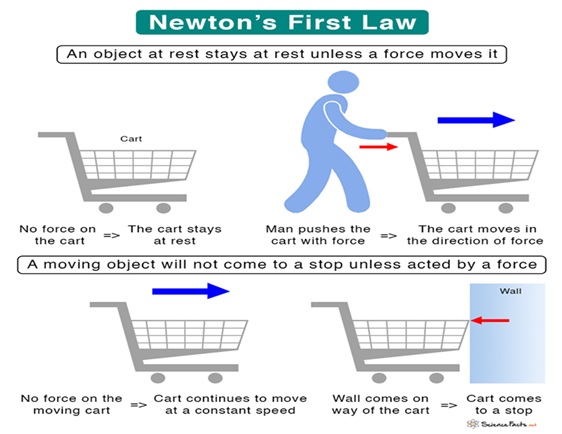 Apply Newton's Laws in Physics Assignments | Step-by-Step Guide